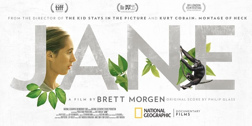 Movie Review: Nature aligns us all in the documentary ‘Jane ...