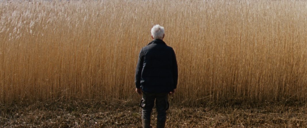 Movie Review (Cannes 2025): ‘Reedland’ Weaves Mystery in the Fields ...