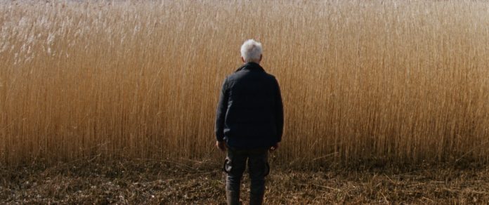Movie Review (Cannes 2025): ‘Reedland’ Weaves Mystery in the Fields ...